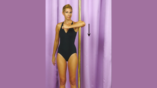 Beginner Tutorials – StudioVeena.Com