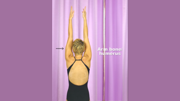 Beginner Tutorials Archives - StudioVeena.Com