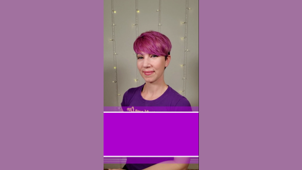 Beginner Level 1 Program – StudioVeena.Com